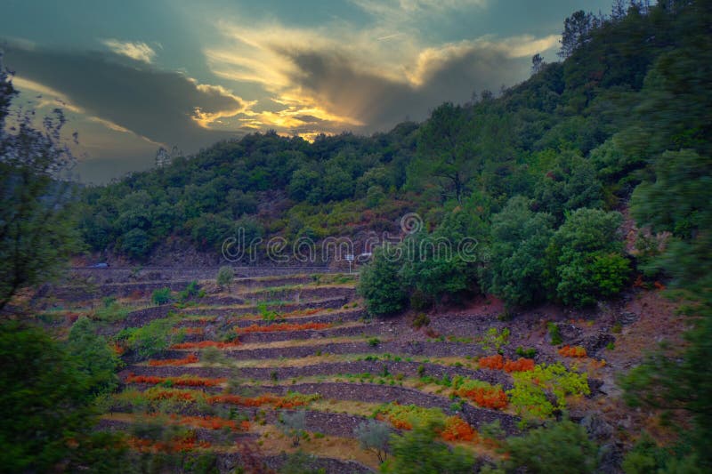 Sunset Over Terraced Slopes Stock Image - Image of illuminated ...