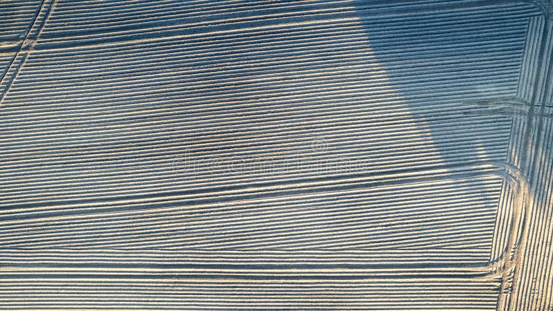 Geometric Agriculture: Aerial View of Farmland Patterns Stock Image ...