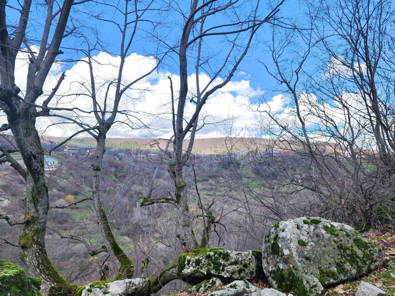 Scenic View of a Rural Landscape through Bare Trees, Georgia Stock ...