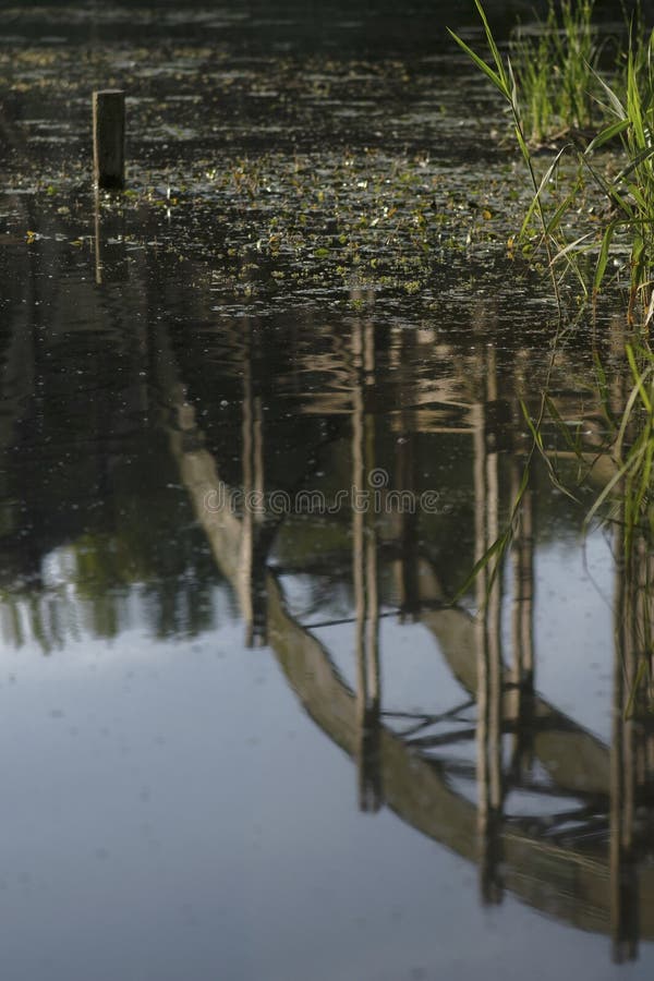 A Wooden Bridge in Calm Water Stock Image - Image of tree, woodland ...