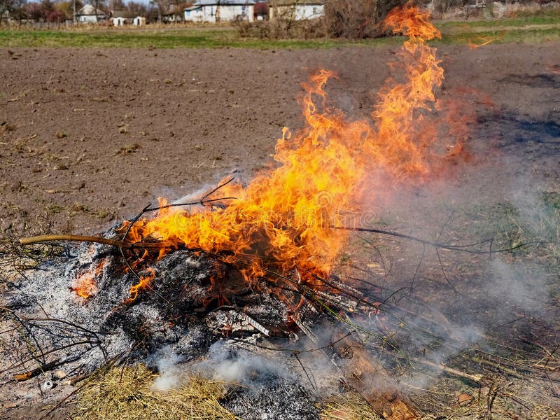 The Image Captures a Small but Intense Fire Burning on the Ground Stock ...