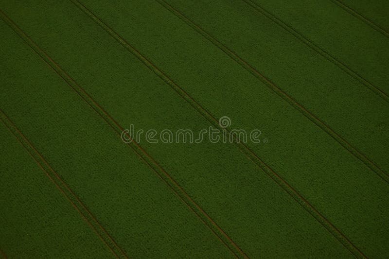 Aerial View of a Green Agricultural Field with Parallel Patterns Stock ...
