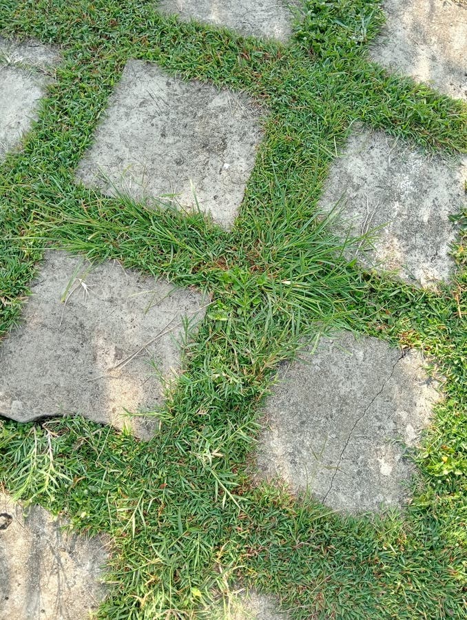 207 Patio Squares Stock Photos - Free & Royalty-Free Stock Photos from ...