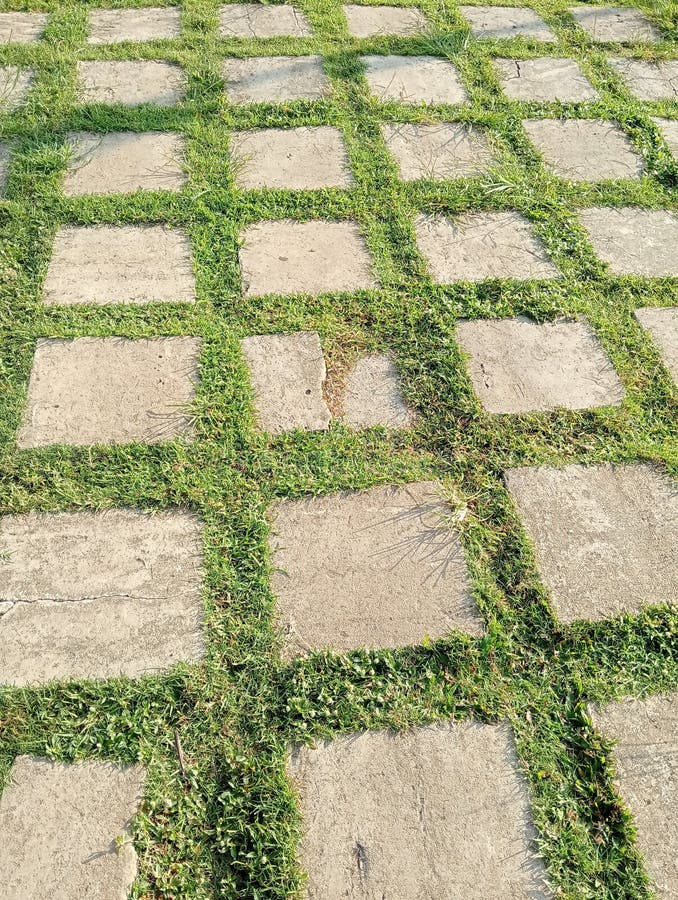 Square Paving Block Footpath with Green Grass Stock Photo - Image of ...
