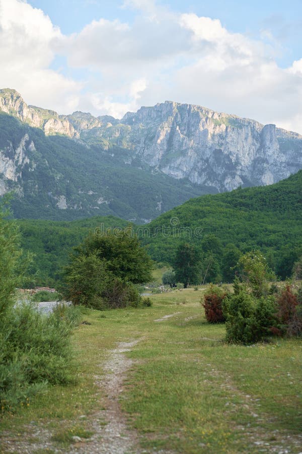 The Image Captures a Tranquil Pathway Amidst Verdant Trees Stock Photo ...
