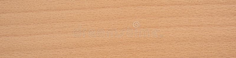 Evaporated Beech Veneer Showcasing Warm Tones and Smooth Wood Texture ...