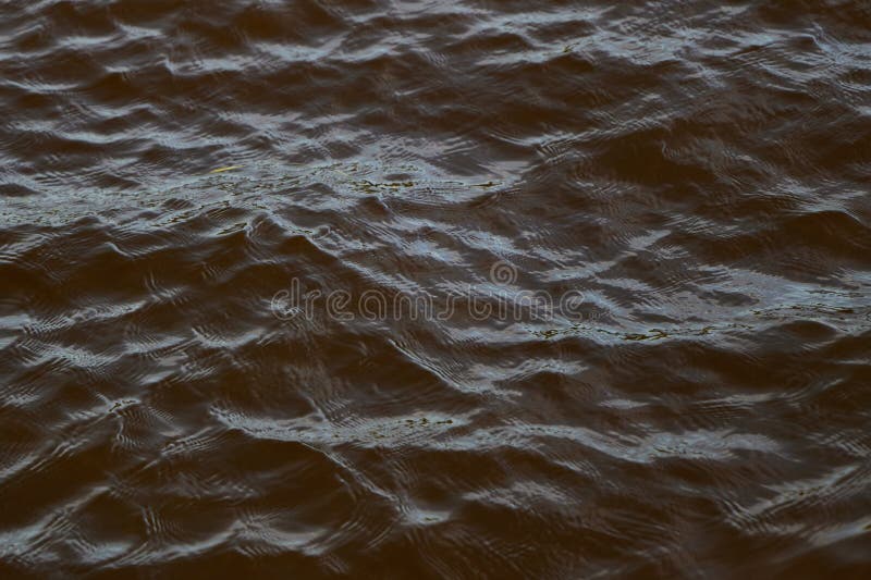 A Calm Water Surface Gently Rippled by Soft Waves, Illuminated ...