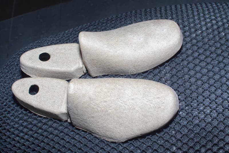 Cardboard Shoe Tree or Insert Accessory Stock Photo - Image of pair ...