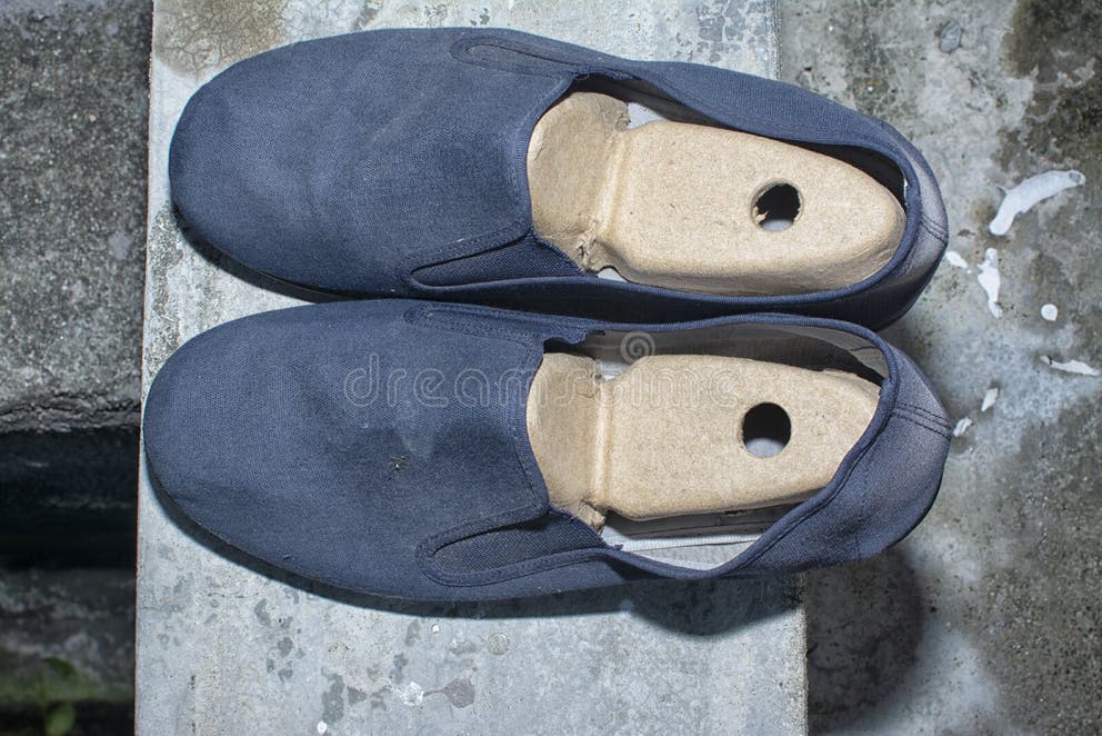 Cardboard Shoe Tree or Insert Accessory Stock Photo - Image of design ...