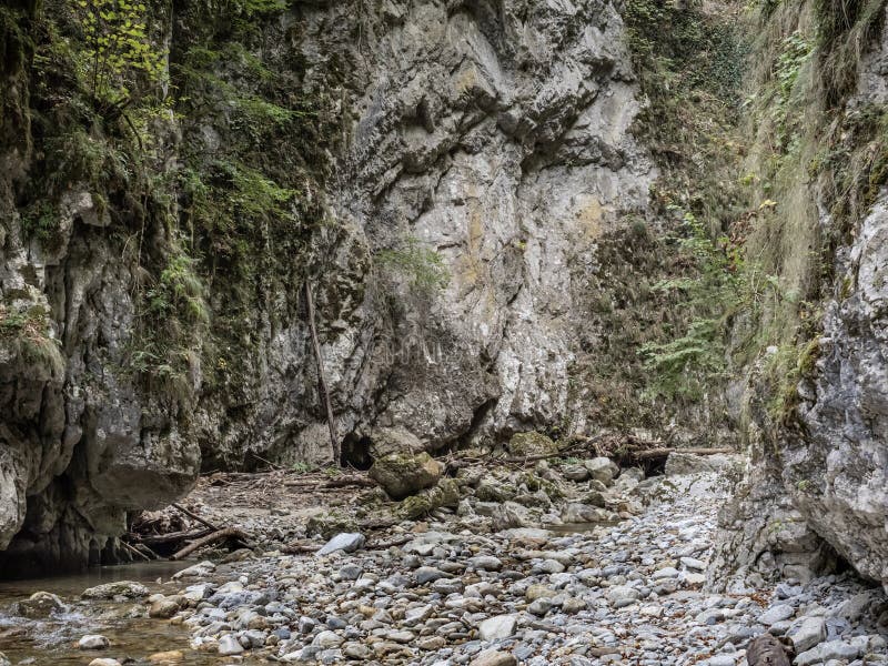 Image from Cheile Oltetului Gorge, Polovragi, Romania Stock Photo ...