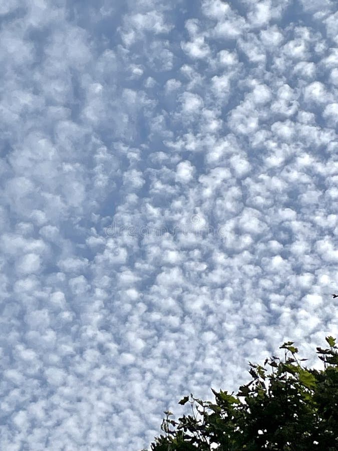 Cirrocumulus Floccus Clouds in Summer Stock Image - Image of cloudsin ...