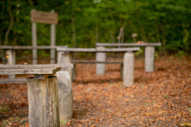 Image of a Class with Desks in the Autumn Forest. Remote Education ...