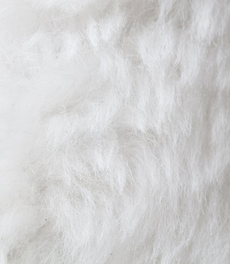 The Image is a Close Up of a White Fur Texture Stock Image - Image of ...