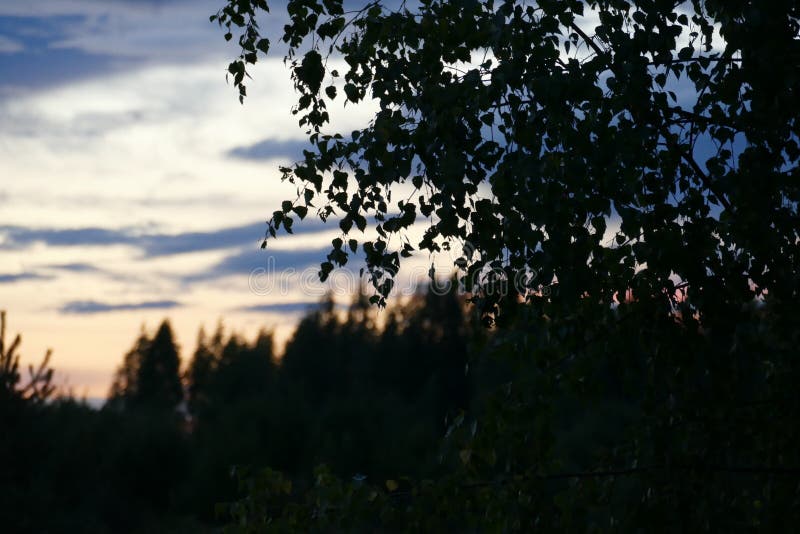 The Image of Clouds Clouds Evening Sky. Natural Illustration Stock ...