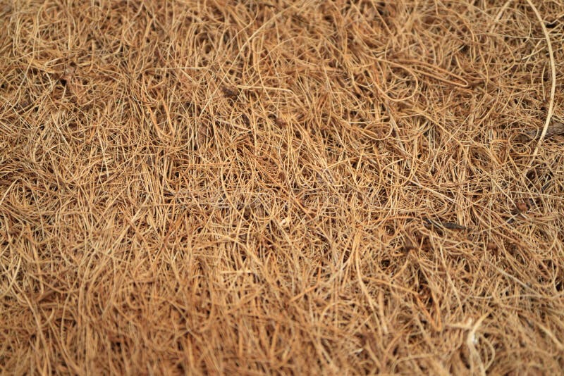Image of coconut mulch. stock image. Image of husk, brown - 211679019