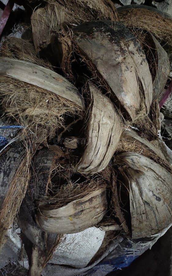 Image of a Collection of Coconut Coir Stock Photo - Image of coconut ...