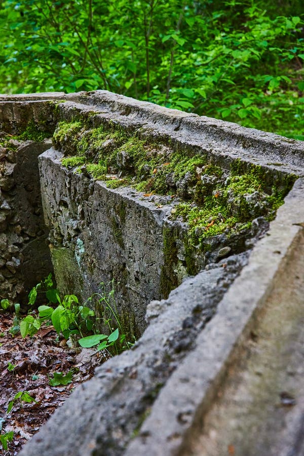 Concrete Above Ground Partial Hexagon Shaped Structure Overgrown with ...