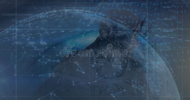 Image of Connections, Caucasian Male Hacker and Globe on Navy ...