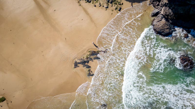 Cornish Surfer on the Beach Stock Image - Image of show, camel: 259355661