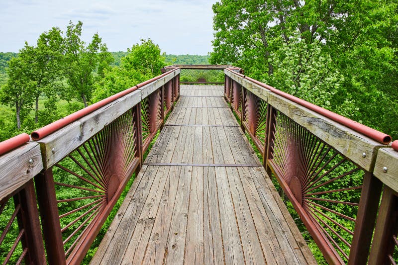 Crisp View of Tree Top Boardwalk Bridge Overlooking Forest Area with ...