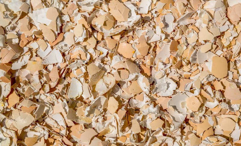 Image of Crushed Egg Shells Stock Image - Image of mangled, fracture ...