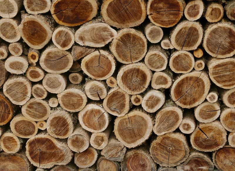 Image of Cut Logs for the Fireplace. Stock Photo - Image of heat ...