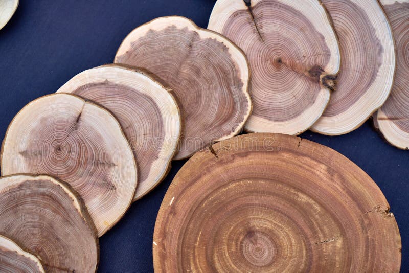 148 Cherry Tree Cross Section Stock Photos - Free & Royalty-Free Stock ...