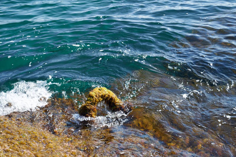 Image D'un Ancrage De Montage Envahie Par Les Algues. Photo stock ...