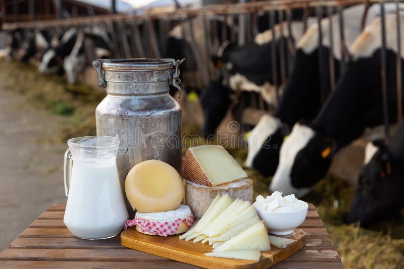 Image of Dairy Products on the Farm Stock Image - Image of stall ...