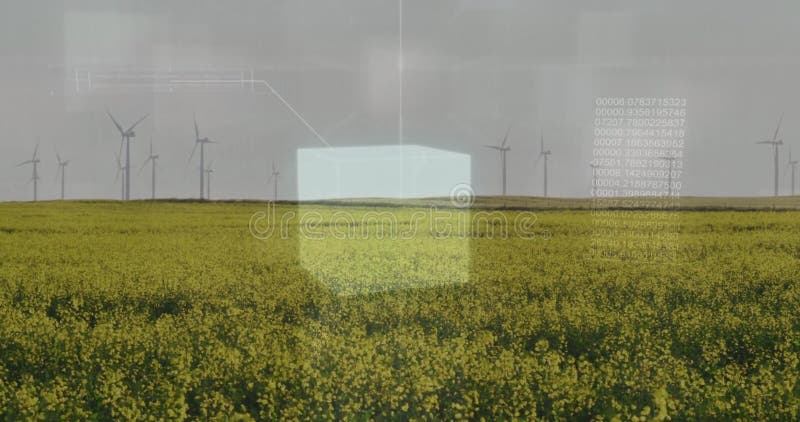 Image of Data Processing and Shapes Over Wind Turbines on Field Stock ...
