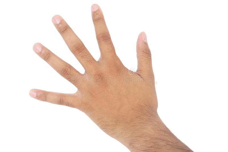 Image de main humaine photo stock. Image du concept - 152605672