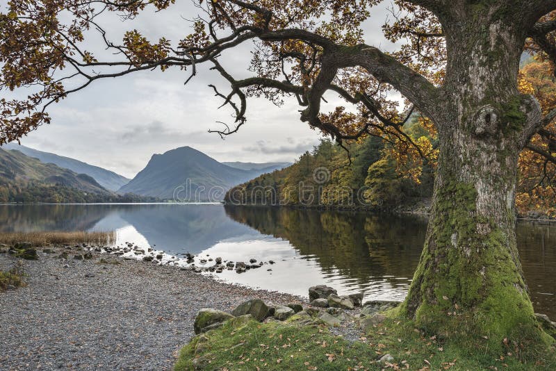 Image De Paysage De Stuning Autumn Fall De Lac Buttermere Dans Le Lac D ...