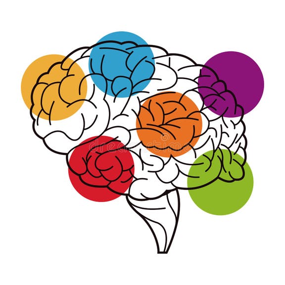 Image De Processus De Fonctions D'esprit Humain Illustration de Vecteur ...