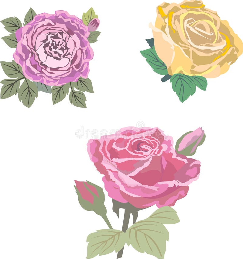 Trois Roses Jaunes. Illustration De Vecteur. Illustration de Vecteur ...