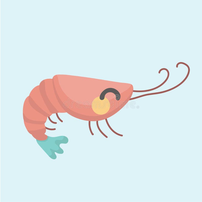 Crevette Drôle Illustration De Vecteur Illustration Du Corail 38652388