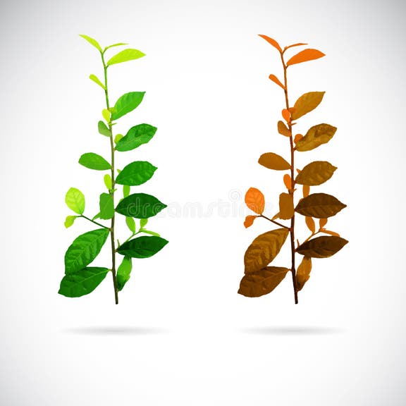 Image de vecteur des lames illustration de vecteur. Illustration du ...