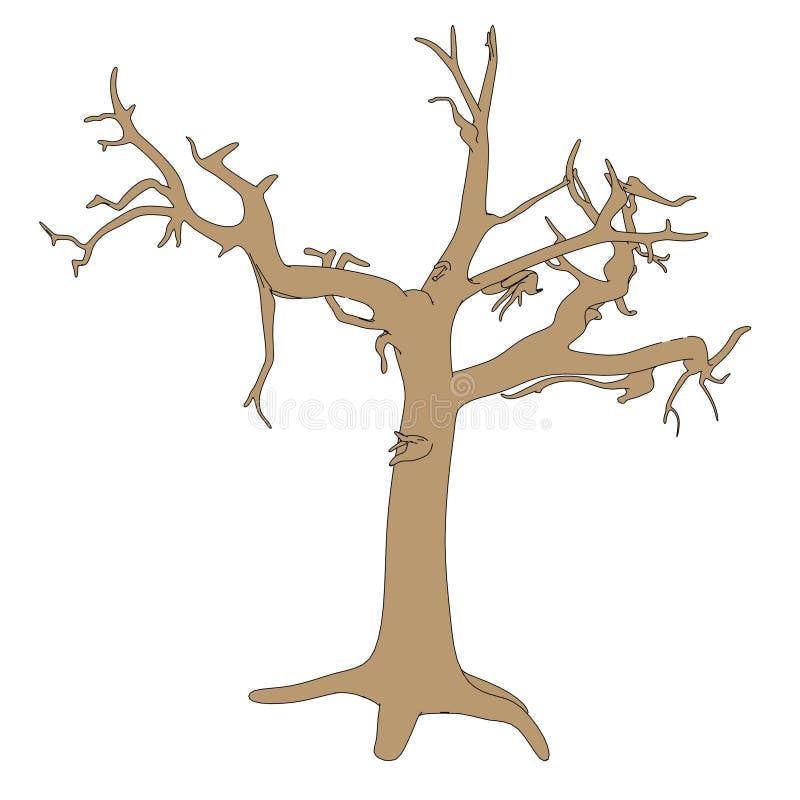 Image of dead tree stock illustration. Illustration of sketch - 36527505
