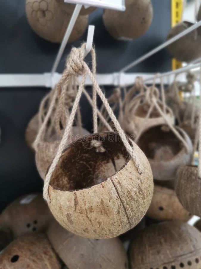 Decorative Bowl Made from the Coconut Shell Stock Photo - Image of ...