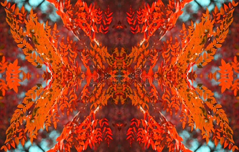 FIERY AUTUMN LEAF REFLECTION PATTERN Stock Illustration - Illustration ...