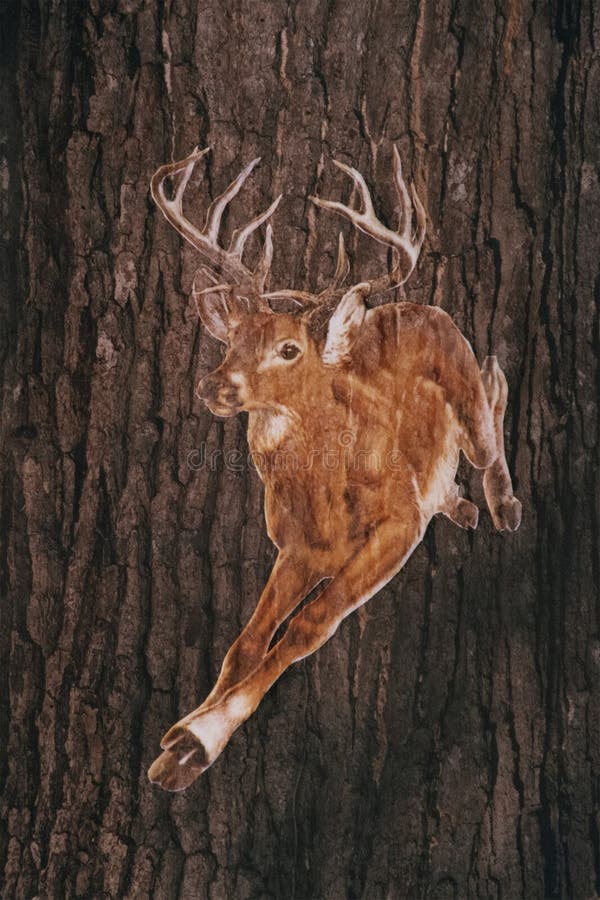 Deer inlaid stock photo. Image of doubleexposure, creative - 362226318