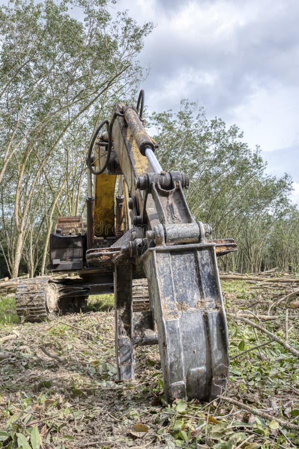 Deforestation of the Rubber Estate Stock Photo - Image of land ...