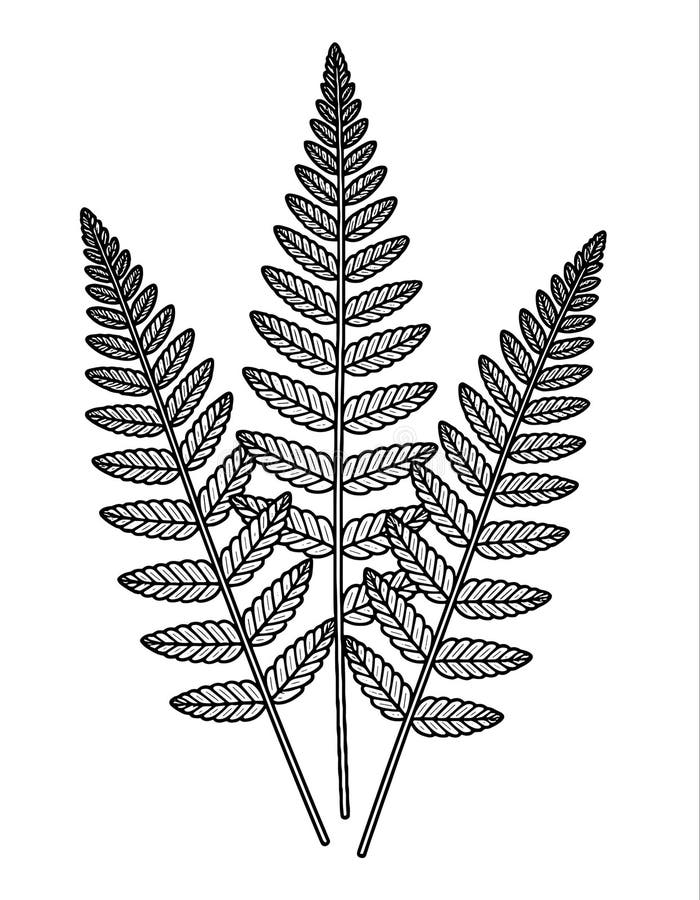 Tree Roots Circle Ecosystem Nature Connection Abstract Symbol Stock ...