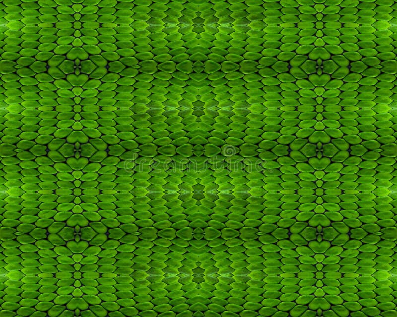 Abstract Pattern and Texture Color Background of Green Snake Skin Stock ...