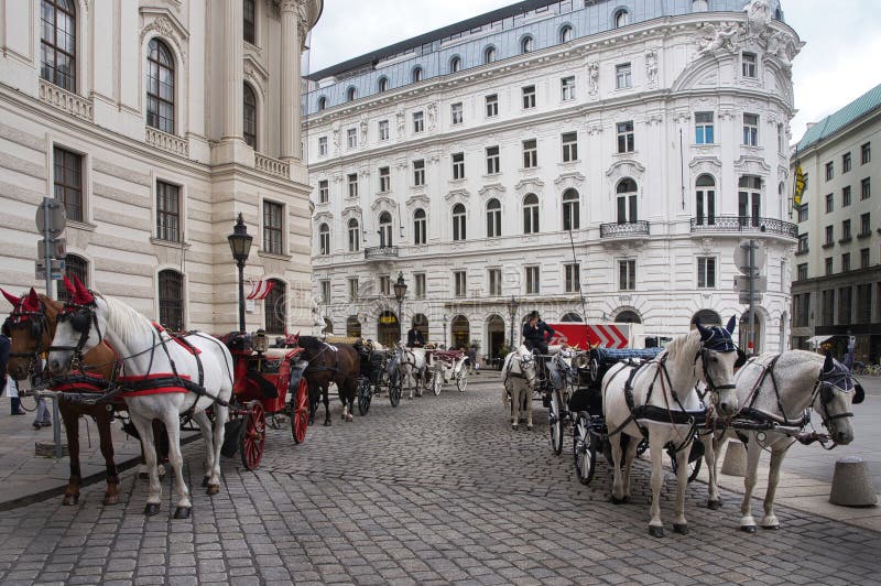 Carriages with Horses for Tour of Vienna Editorial Stock Image - Image ...