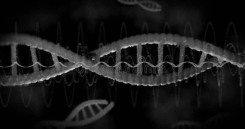 Image of Diagrams Over Dna Strands Stock Illustration - Illustration of ...