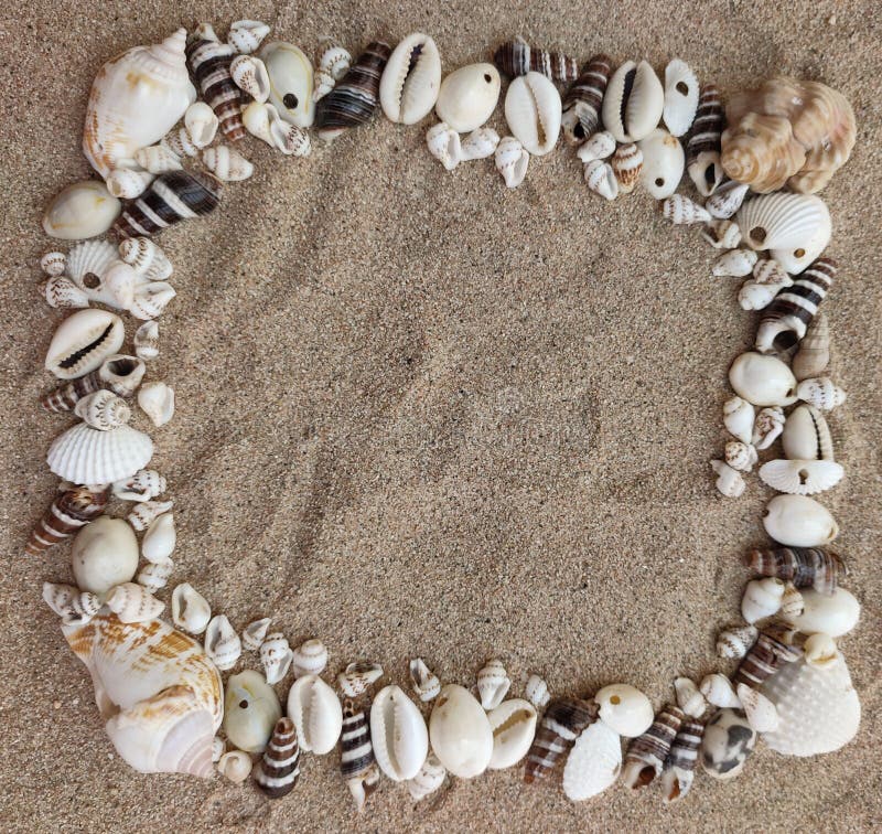 Image of Different Seashells Arranged in Frame Shape on Sand. Stock ...
