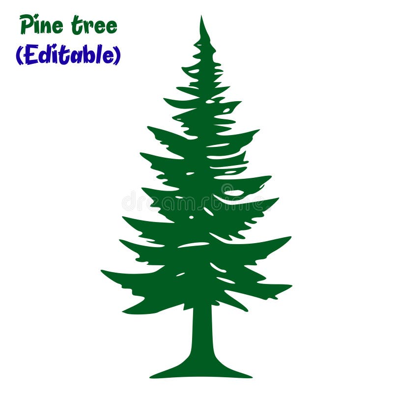 Pine Tree Vector. Stylized Dark Green Pine Tree Illustration on a White ...