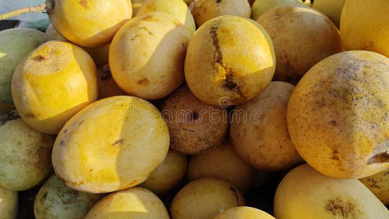 Displaying Pile of Stack Up Ripe Apple Mangoes at the Market. Stock ...