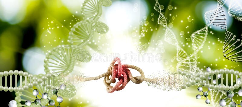 An Image of a Dna Chain Embedded with a Tangled Rope Symbolizing a ...