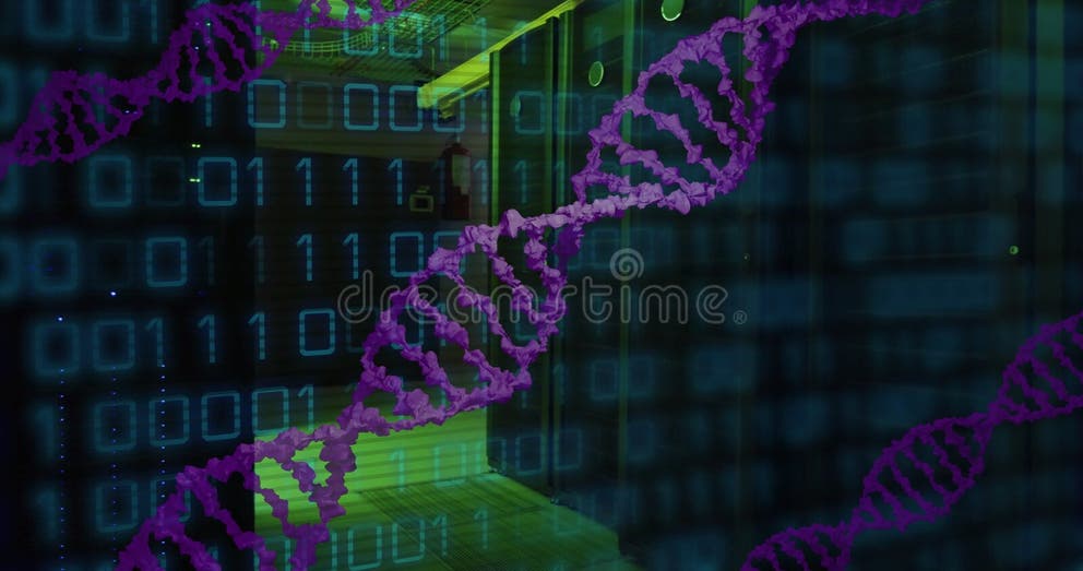 Image of Dna Strand, Binary Coding and Data Processing Over Computer Servers Stock Image - Image ...